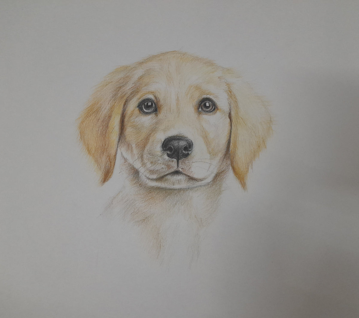 Shop Art works – DexArt